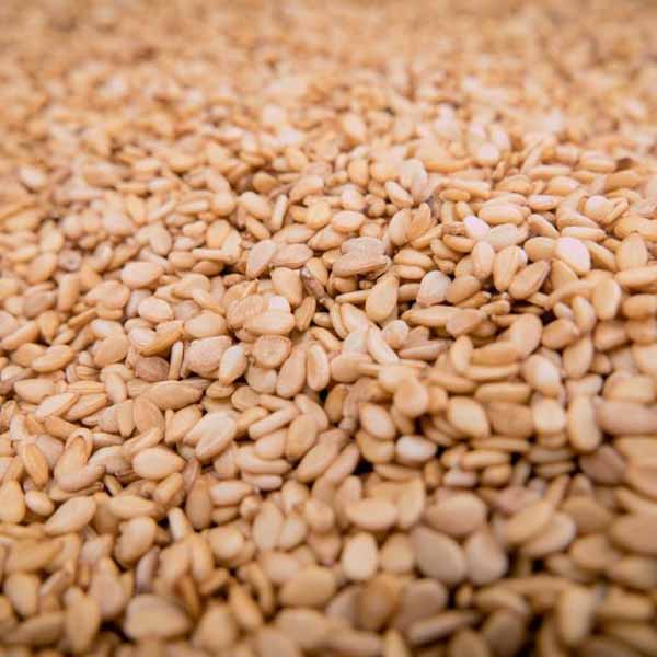 Sesame Seeds – TERRA TRADING FZC